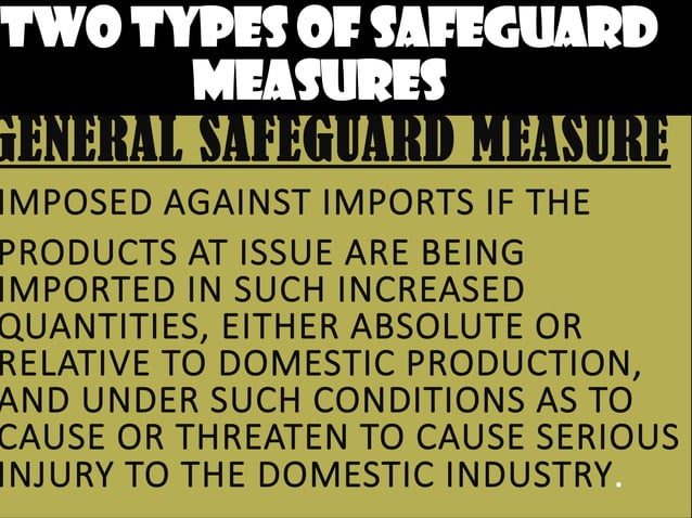 Safeguard Measures PDF.pdf | Commodities | Economy
