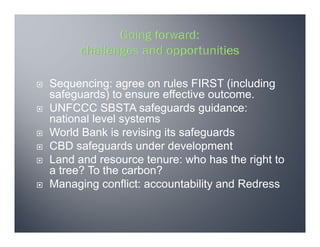 Safeguards and REDD+ | PDF