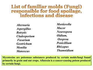 Food safety & COVID 19 | PDF