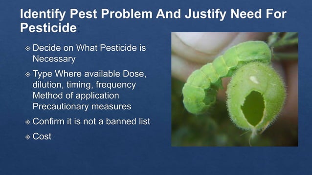 General safety precautions while handling insecticides and guidelines ...