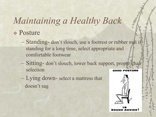 Safe lifting | PDF