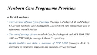 Safe Motherhood and Newborn Program | PPTX