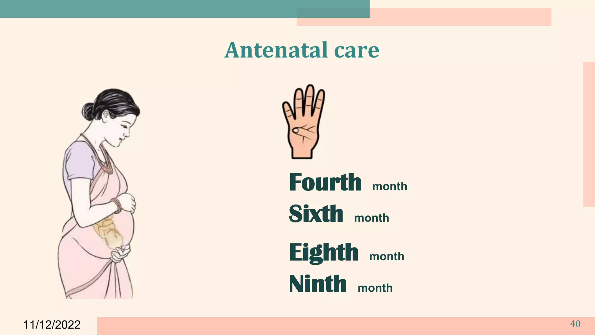 Safe Motherhood Program in Nepal: Challenges and Way Forward | PPTX