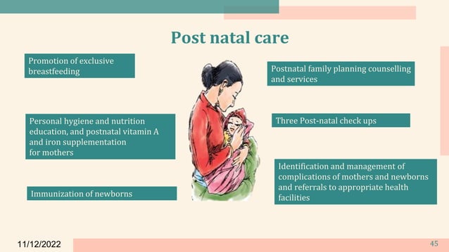 Safe Motherhood Program in Nepal: Challenges and Way Forward | PPTX