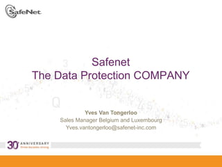 SafeNet overview 2014 | PPTX