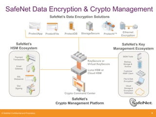 SafeNet overview 2014 | PPTX
