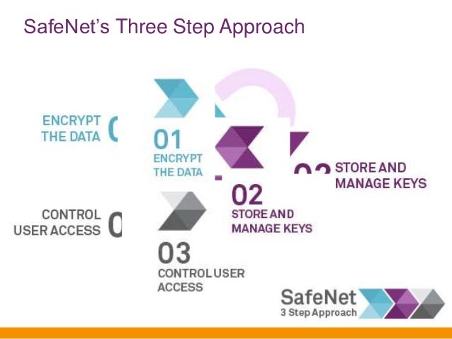 SafeNet overview 2014