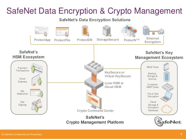 SafeNet overview 2014
