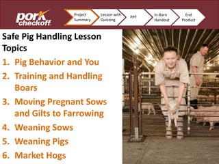 Safe Pig Handling | PPT
