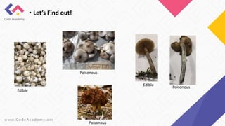 Safe to Eat or Deadly Poisonous - A Machine Learning Approach to Mushroom Toxicity (CA Template ...