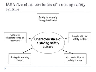 Safety-culture-effective-improvement-strategies.pdf