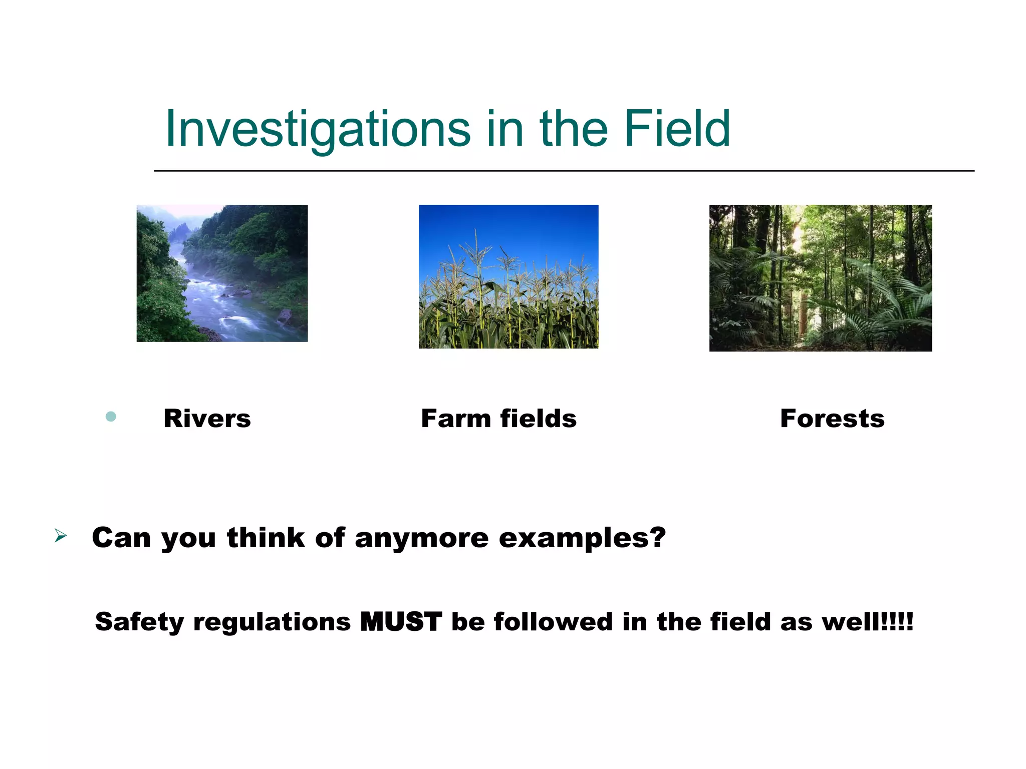 Safety In The Lab2 | PPT