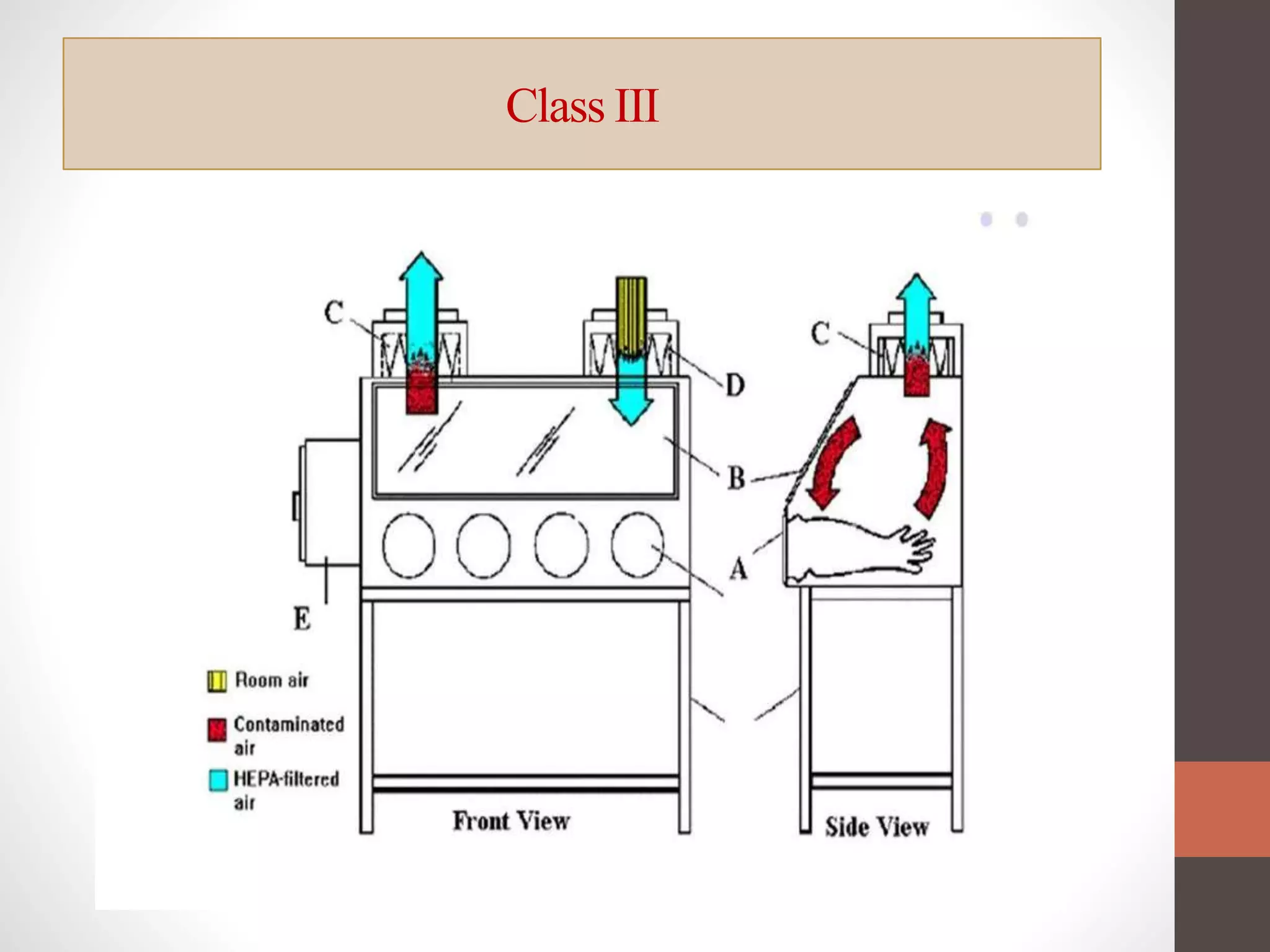 safety and biosecurity (lab4).Biosafety Cabinets (BSCs) | PPT