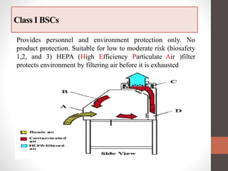 safety and biosecurity (lab4).Biosafety Cabinets (BSCs) | PPT