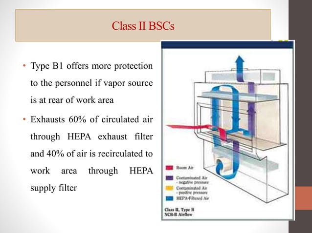 safety and biosecurity (lab4).Biosafety Cabinets (BSCs) | PPT