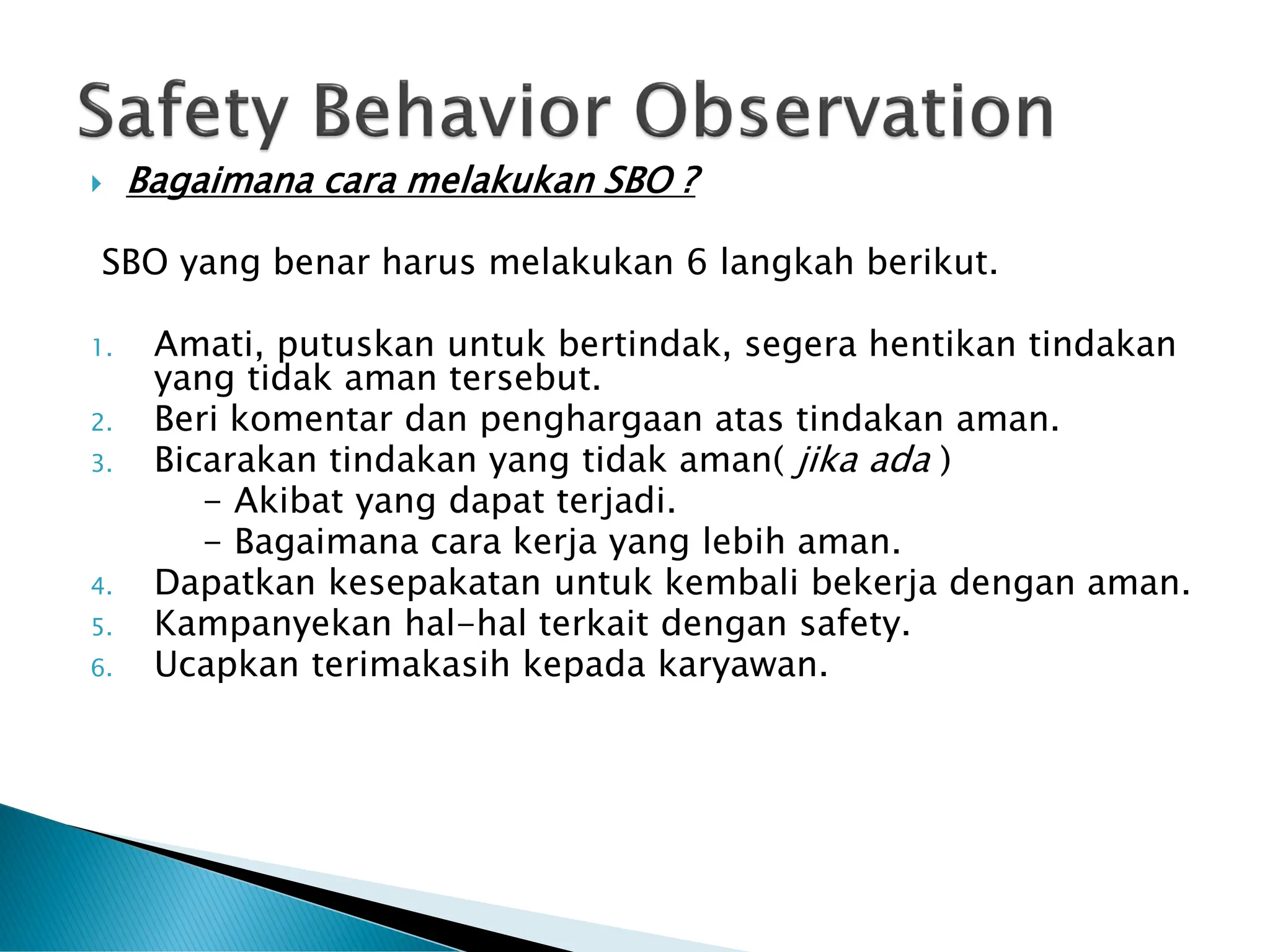 SAFETY BEHAVIOR OBSERVATION.pdf