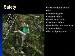 Safety climbing and working in trees | PPT