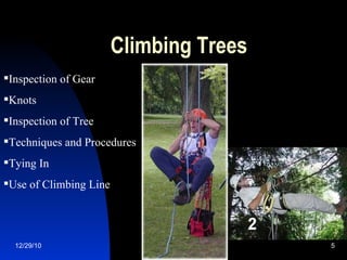 Safety climbing and working in trees | PPT