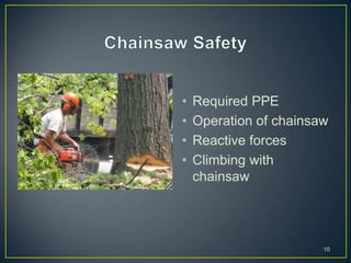 Safety, climbing, and working in trees | PPTX