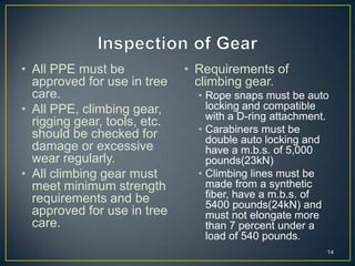 Safety, climbing, and working in trees | PPTX