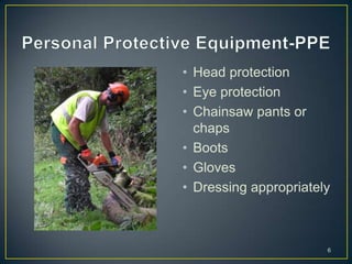 Safety, climbing, and working in trees | PPTX