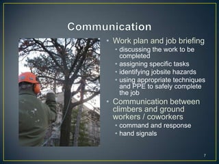 Safety, climbing, and working in trees | PPTX