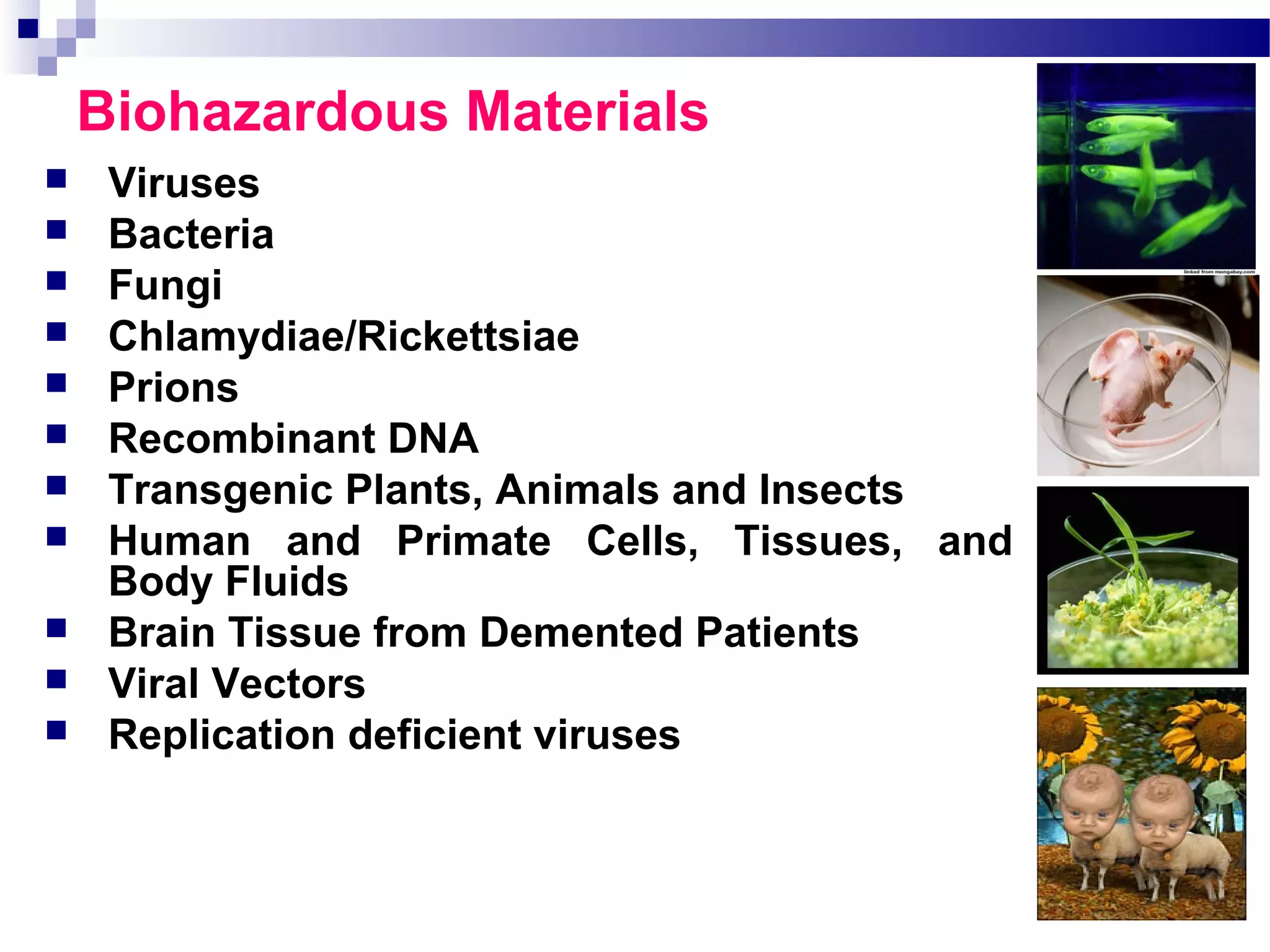 Safety considerations and guidelines veterinary microbiology laboratory ...