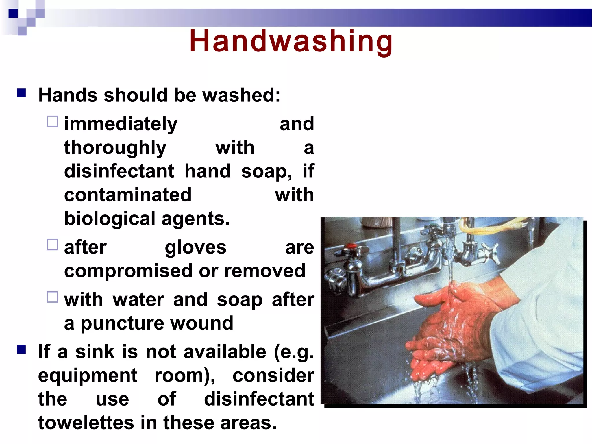 Safety considerations and guidelines veterinary microbiology laboratory ...