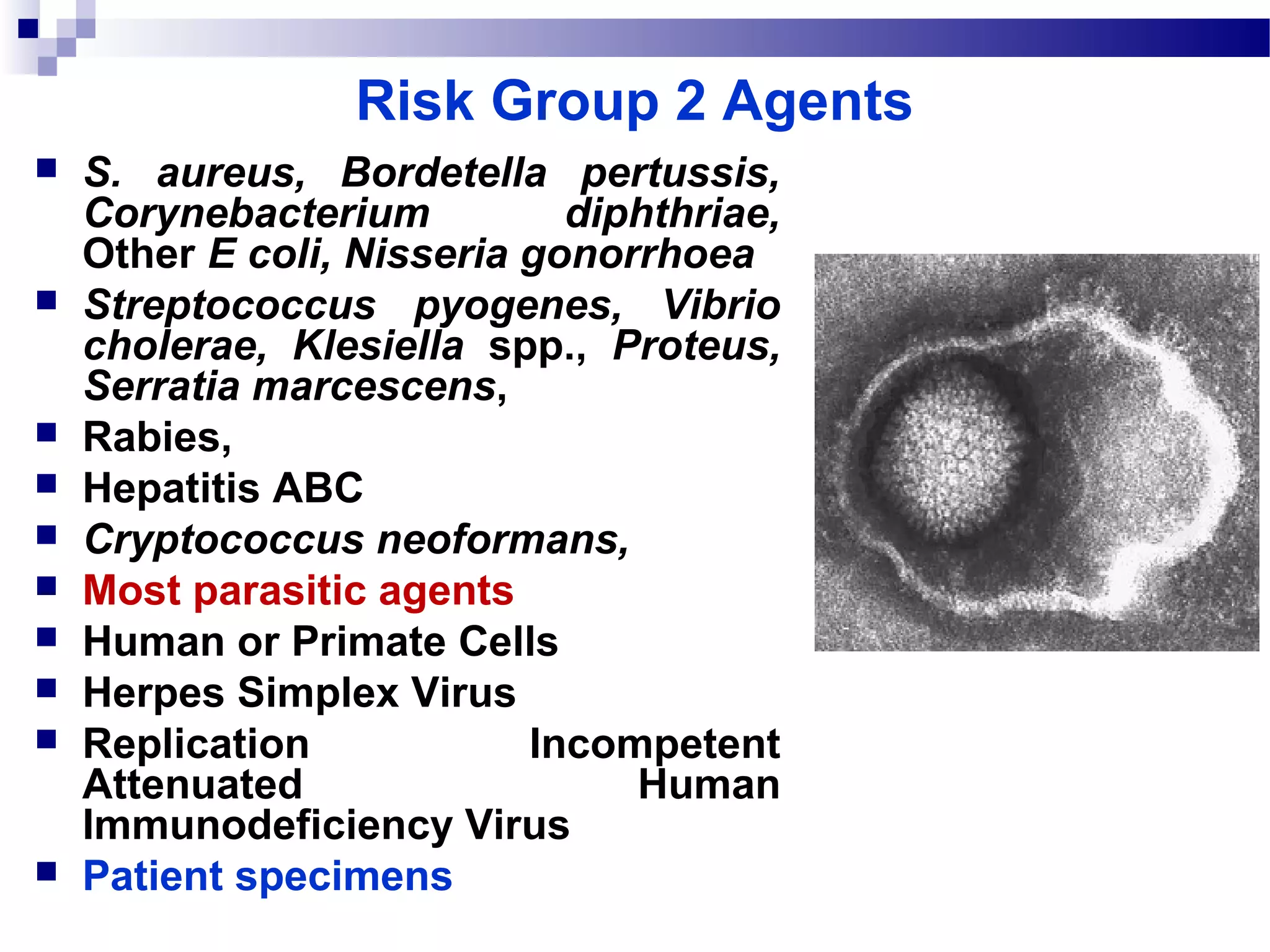 Safety considerations and guidelines veterinary microbiology laboratory ...