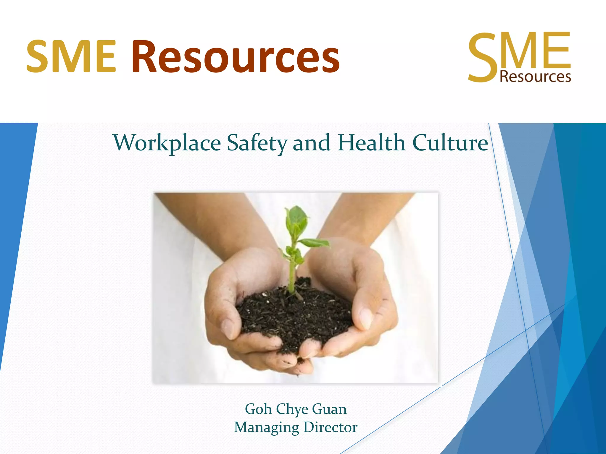 WSH Culture | PDF