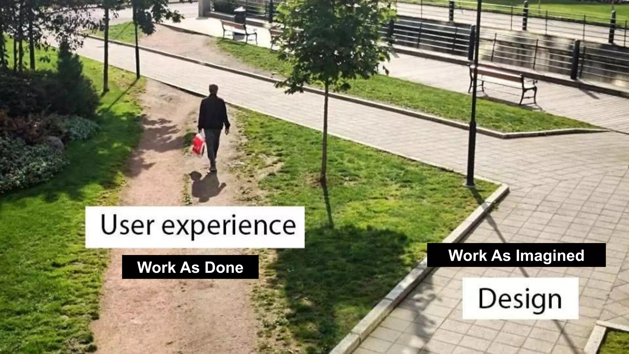 What are the Key Principles of Safety Differently? | PPTX