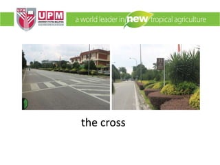 Safety education-road safety | PPTX