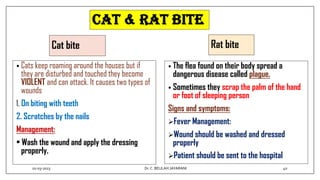 SAFETY & FIRST AID.pdf