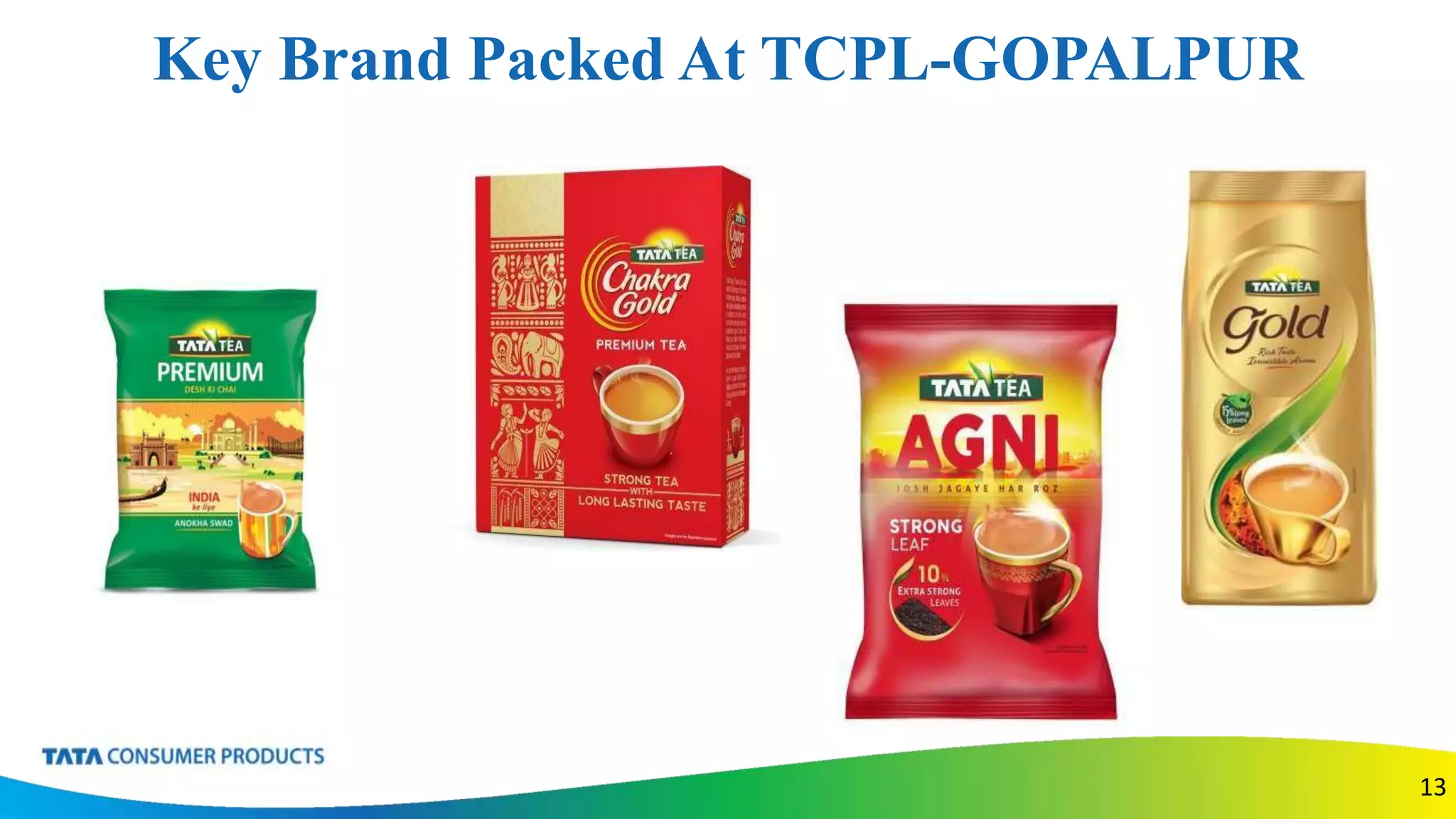 SAFETY GLADIATORS Presentation.pptx