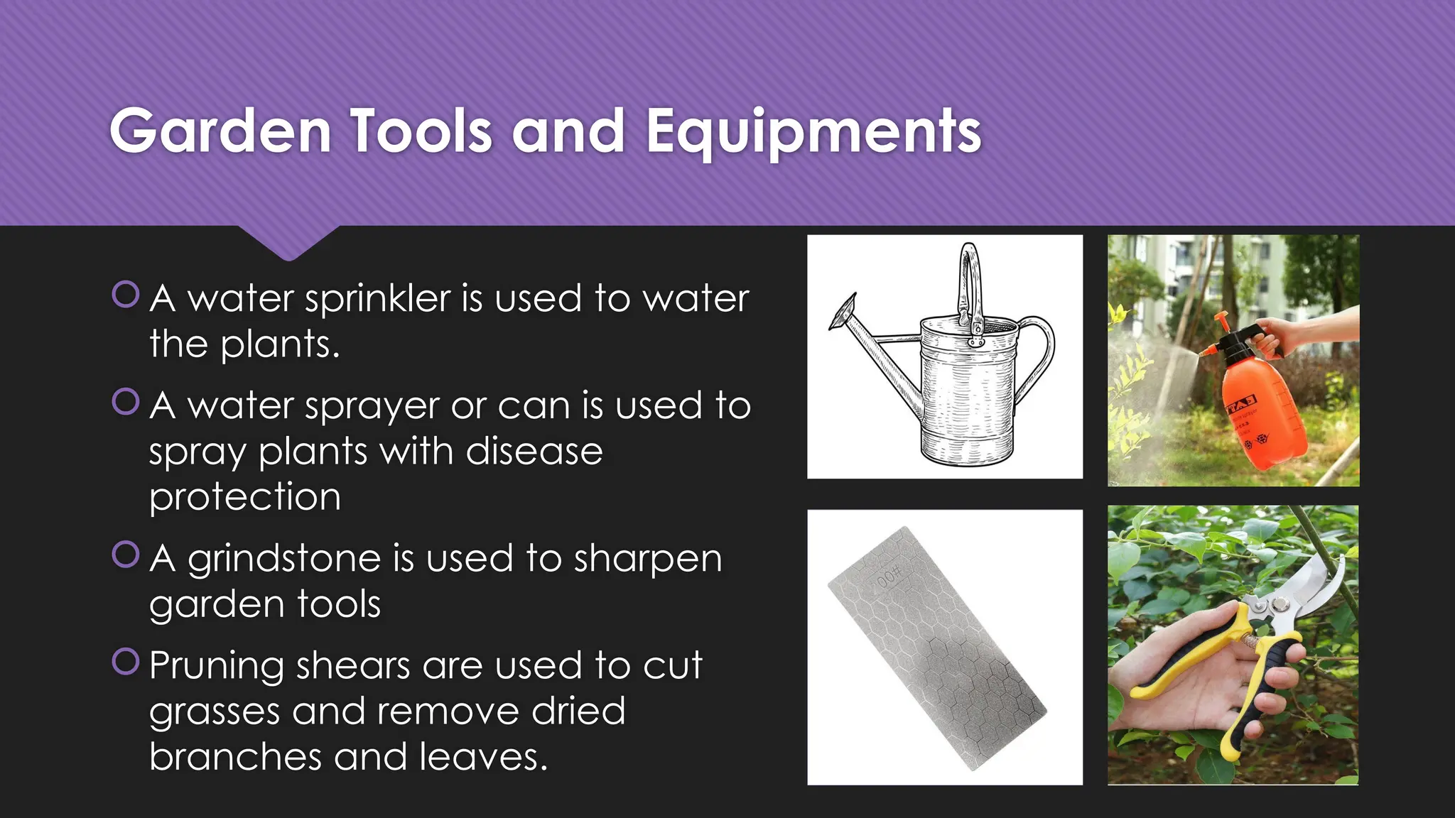 Safety Guidelines and Gardening Equipment.pptx
