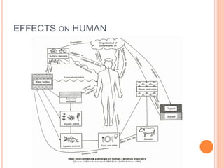 Safety, Health & Environment Presention (Chernobyl Tragedy) | PPT