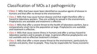 Safety in biotechnology.pdf