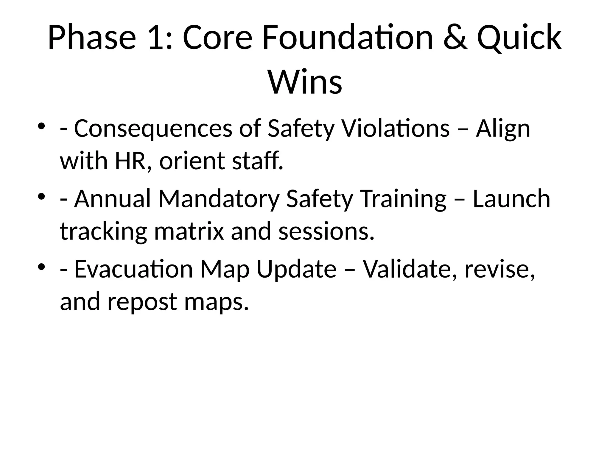 Safety_Initiative_Roadmap_Presentation.pptx