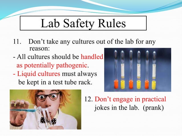 SAFE PRACTICES IN QUALITY CONTROL LABORATORIES.pptx | Women\'s Clothing ...