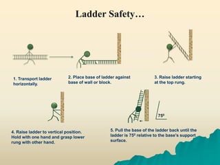 Safety in use of ladder | PPT