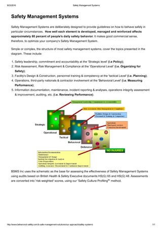 Safety management systems | PDF