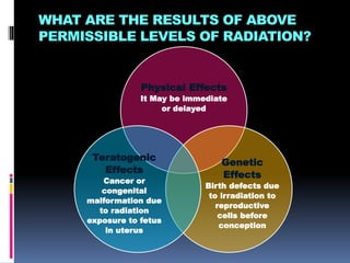 Safety Measures in Radiology Department | PDF