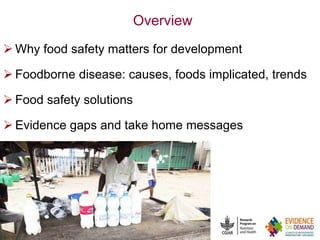 Safety of animal source foods: Why it matters | PDF