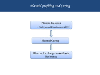 Safety assessment of probiotics for human use | PPTX
