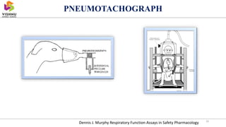 Safety pharmacology | PPTX