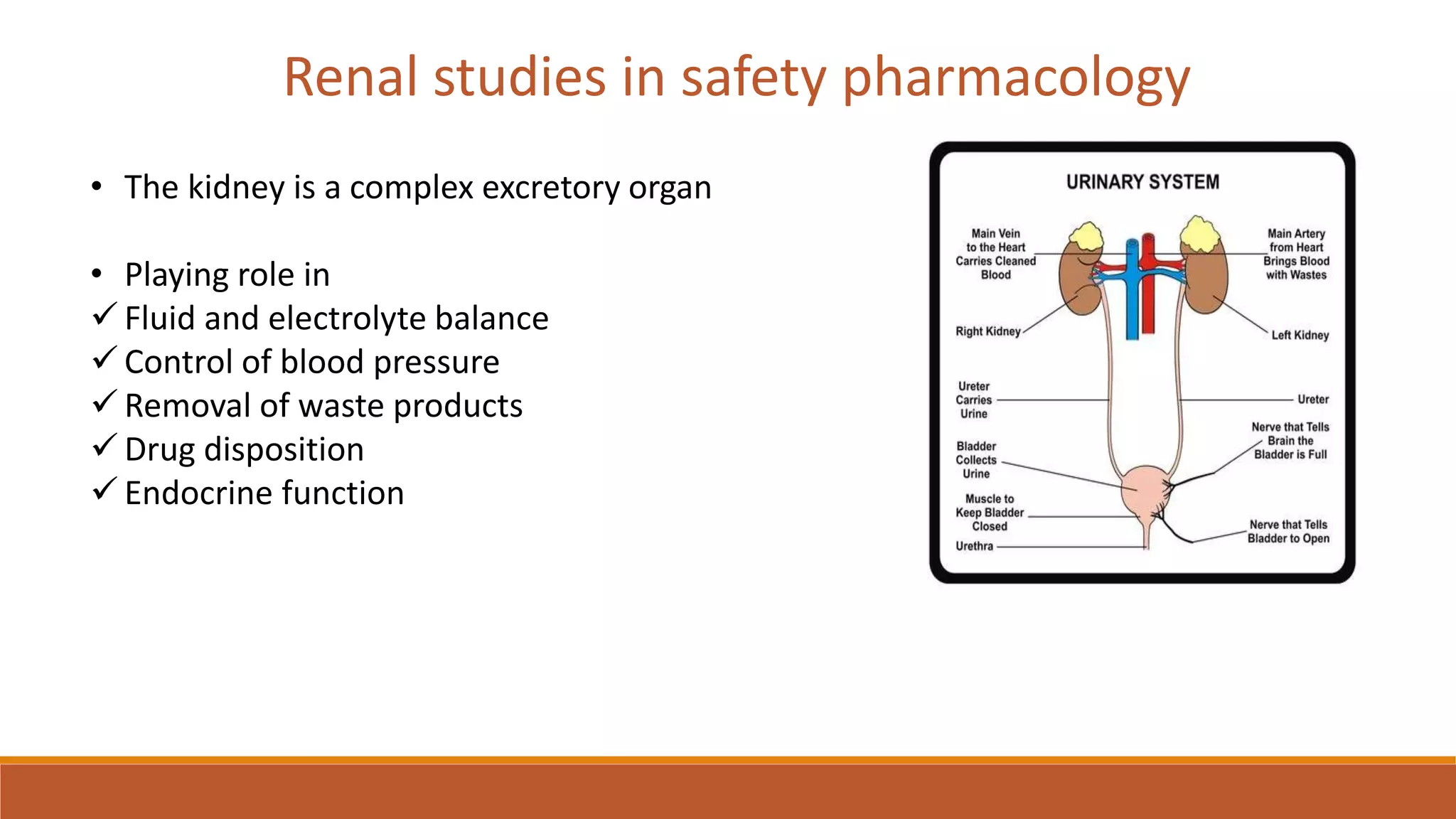 Safety pharmacology tier 2 | PPTX