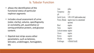 Safety pharmacology tier 2 | PPTX