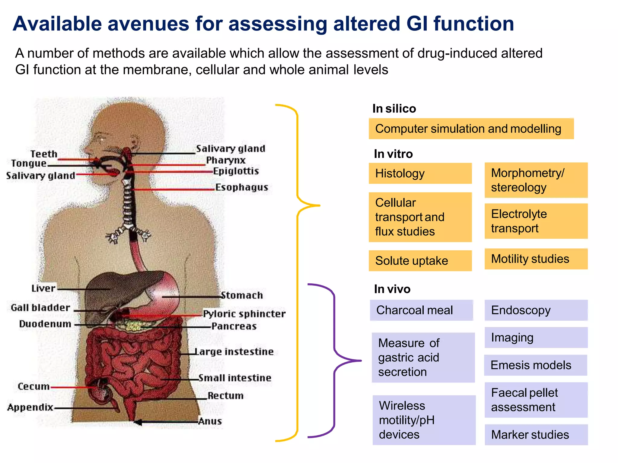Safety pharmacology of git | PPTX