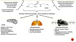 Safety pharmacology studies in drug development | PPTX
