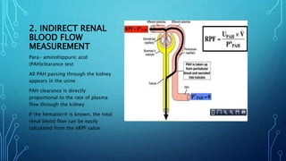 Safety pharmacology study2.pptx